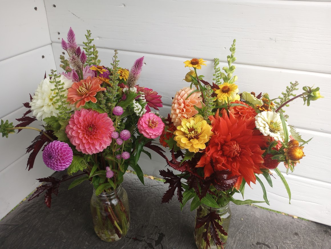 Pre-Picked - Allison Acres Farm, LLC