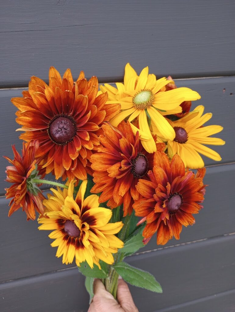 2026 Events Coming Soon... - Allison Acres Farm, LLC