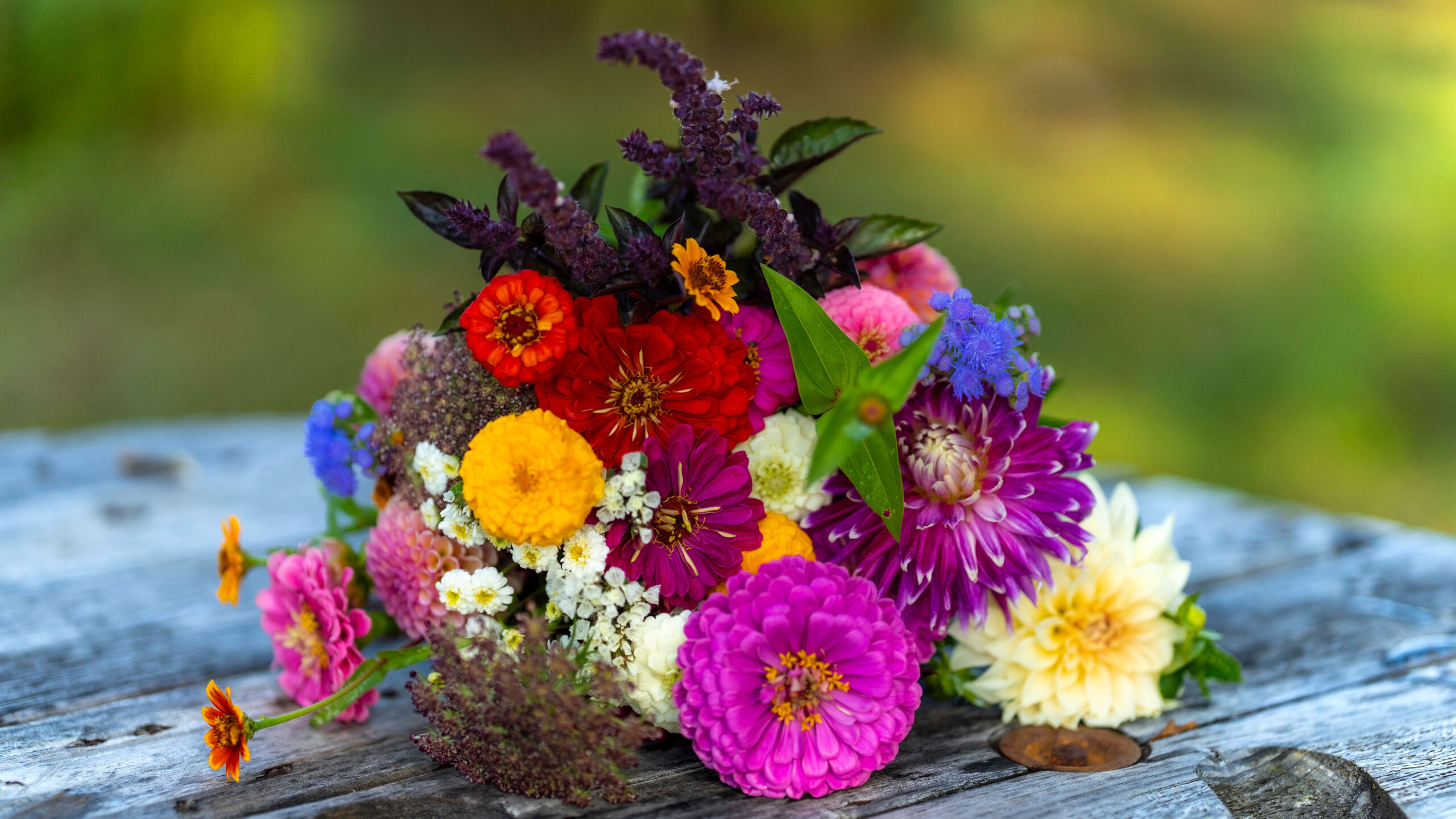 About the Farm - Allison Acres Farm, LLC
